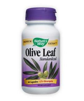 NATURE’S WAY OLIVE LEAF 12% STANDARDIZED 60 VEG. CAPSULES – Natures Health Shoppe